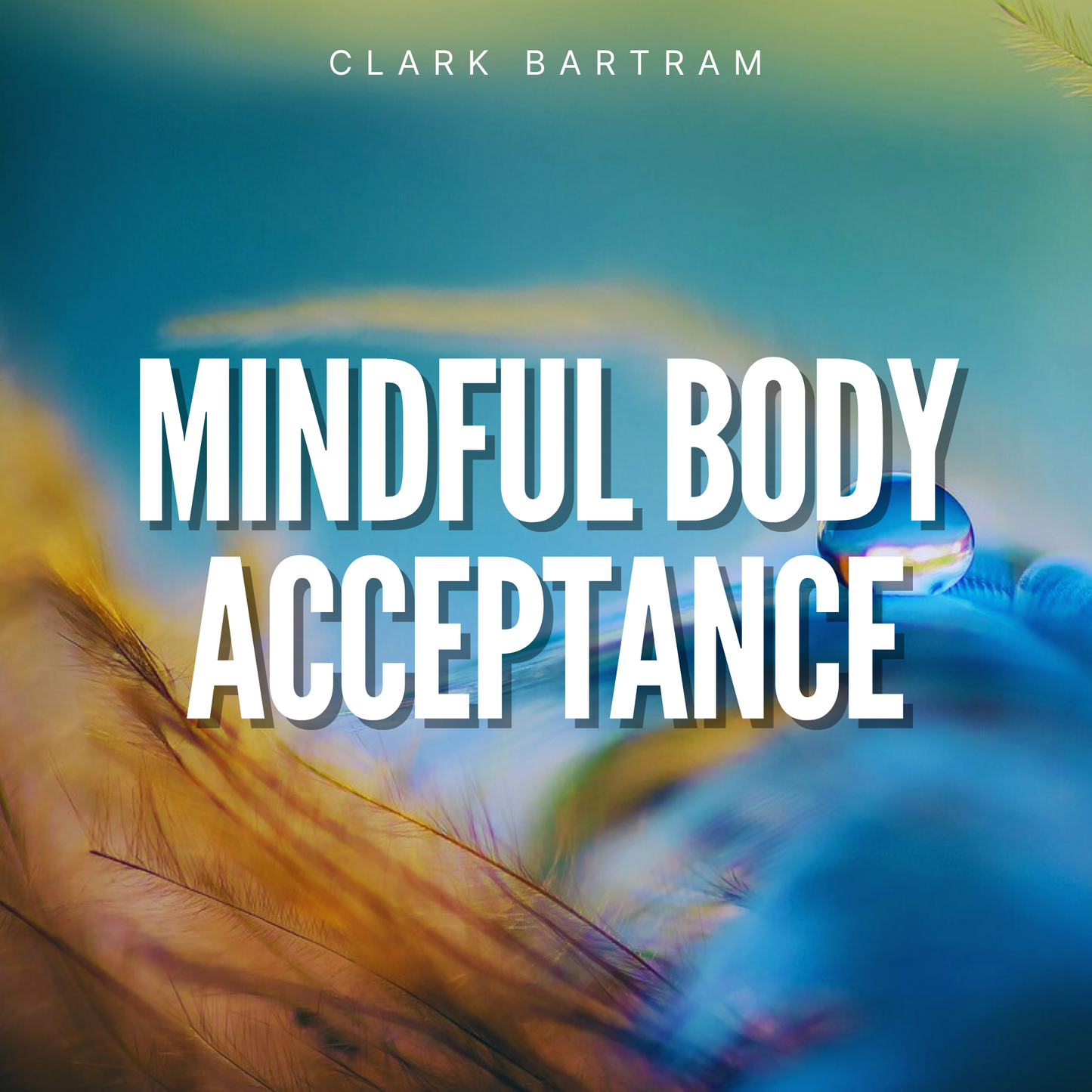 Mindful Body Acceptance - Meditation – Clark Bartram Systems